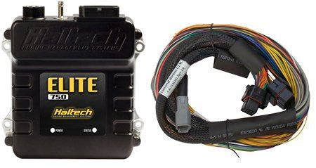 Haltech Elite 750 – LMS-EFI, LLC